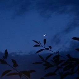 Lily the Spellwright’s Atelier - Minecraft Modpacks - CurseForge