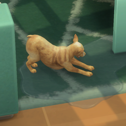 Dog Tiny Bladder Trait By YourFalseHope | Chinese Translation - The ...