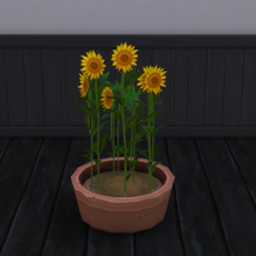 Sunflower Harvestable - The Sims 4 Mods - CurseForge