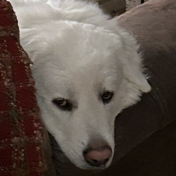 Empire Strikes Block Star Wars Flans Pack - Gallery - Minecraft Mods ...