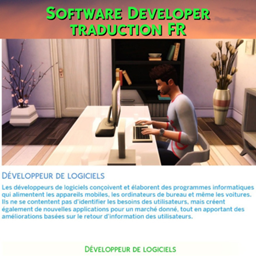 Mod Software Developer par Kiara - Trad FR - The Sims 4 Translations ...