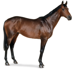 Abomination Pack - Minecraft Modpacks - CurseForge