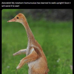 Ducc Craft REMASTERED - Minecraft Modpacks - CurseForge