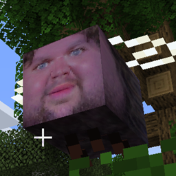 JD Vance Bees - Files - Minecraft Resource Packs - CurseForge