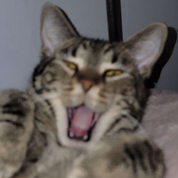 set crew best crew - Minecraft Modpacks - CurseForge