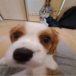 Miramon - Minecraft Modpacks - CurseForge