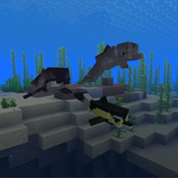 Moar Dolphins - Minecraft Bedrock Addons - CurseForge