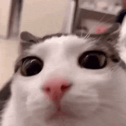 Valheim - Files - Minecraft Modpacks - CurseForge