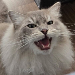 Lili's Delivery Service - Files - Minecraft Modpacks - CurseForge