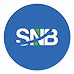 SNBank By Simrealist | Traducción ESP - The Sims 4 Translations - CurseForge