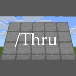 Function Thru v3 for 1.21.113 (Now with tag verification) - Minecraft ...