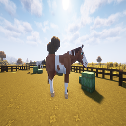Equestrian Adventure & Farming Plus Spells - Minecraft Modpacks ...