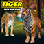Tiger skin by Jochi - The Sims 4 Pets - CurseForge
