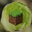 Lettuce Items - Files - Minecraft Mods - CurseForge
