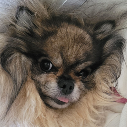 Swem and so much more - Minecraft Modpacks - CurseForge