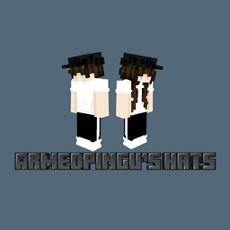 Armedpingu's 4D Matching Hats - Minecraft Bedrock Skins - CurseForge