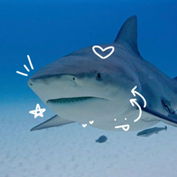 Shark GUI ☆‧⁺˖ 🦈 - Gallery - Minecraft Resource Packs - CurseForge