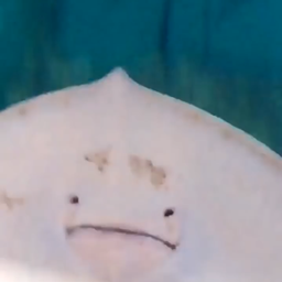 Prime Goonage - Minecraft Modpacks - CurseForge