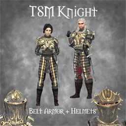 TSM Knight Belt Armor for male adults - with matching helmet - The Sims ...