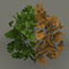 Bushy Leaf Decay - Minecraft Resource Packs - CurseForge