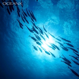 Create: Ink Sac Recipe - Minecraft Mods - CurseForge