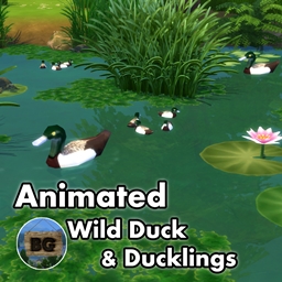 Animated Wild Duck & Ducklings ~ Animal ~ Ducks ~ Bird ~ Pet - The Sims ...