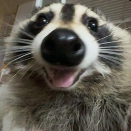 Raisin Bran Crunch Server - Minecraft Modpacks - CurseForge