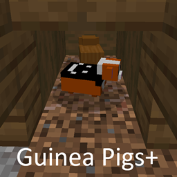 Guinea Pigs Extras - Minecraft Mods - CurseForge