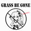 Grass Be Gone - Minecraft Mods - CurseForge