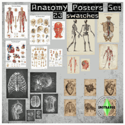 Anatomy Posters Set - The Sims 4 Build / Buy - CurseForge