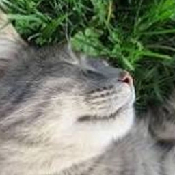 Epic Craft Adventures - Minecraft Modpacks - CurseForge