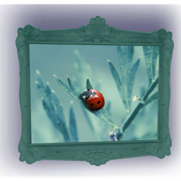 Ladybug Picture - Gallery - The Sims 4 Build / Buy - CurseForge