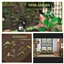 ¡🌿 Mini Indoor Garden by icemunmun — Spanish Translation ES 🌿 - Gallery ...