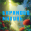 Expanded Nature (Core) - Files - Minecraft Mods - CurseForge