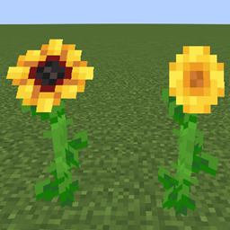 Spawn Sunflower Fix - Files - Minecraft Data Packs - CurseForge