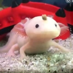 Ecological Replenishment Station - Minecraft Mods - CurseForge