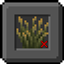 No Firefly Bush Animation - Files - Minecraft Bedrock Texture Packs ...