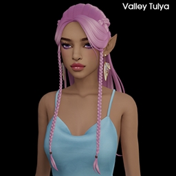 Valley_Tulya's Profile - Member List - CurseForge