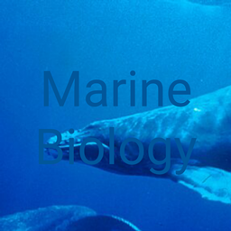 Marine biology - Minecraft Mods - CurseForge