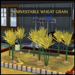 WHEAT GRAIN Harvestable By icemunmun | Chinese Translation - The Sims 4 ...