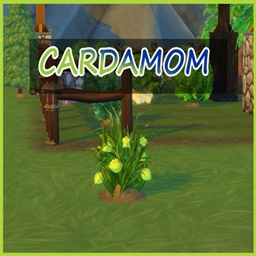 CARDAMOM HARVESTABLE By icemunmun | Chinese Translation - The Sims 4 ...
