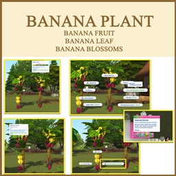 BANANA PLANT Harvestable By icemunmun | Chinese Translation - The Sims ...