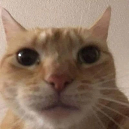 Griddy gaming 100 - File - Minecraft Modpacks - CurseForge