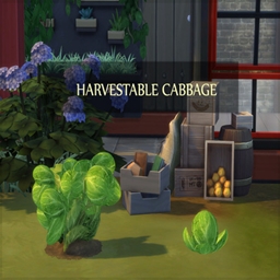 CABBAGE HARVESTABLE By icemunmun | Chinese Translation - Gallery - The Sims 4 Translations ...