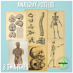 Anatomy posters - Files - The Sims 4 Build / Buy - CurseForge
