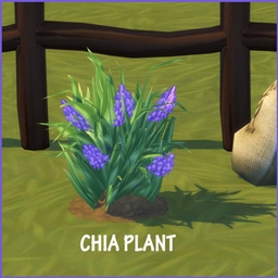 CHIA PLANT Harvestable By icemunmun | Chinese Translation - The Sims 4 ...