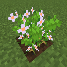 Fancy Crops - Minecraft Bedrock Texture Packs - CurseForge