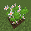 Fancy Crops - Minecraft Bedrock Texture Packs - CurseForge