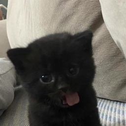 Gregtech Mori Edition - Minecraft Modpacks - CurseForge