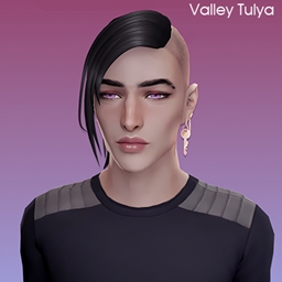 Valley_Tulya's Profile - Member List - CurseForge